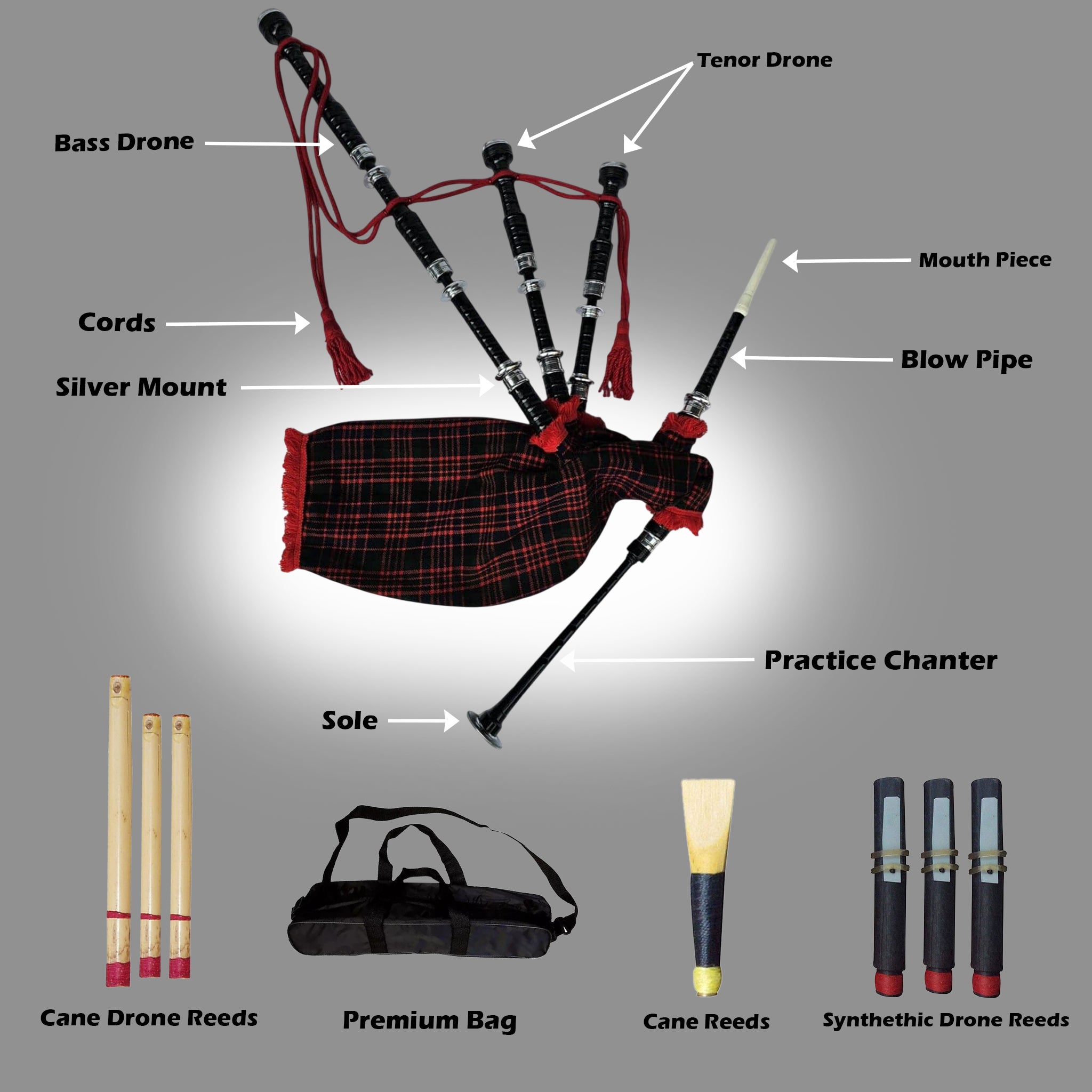 MacDonald Tartan Bagpipe with Synthetic Bag & 3 Cane Drone Reeds ...
